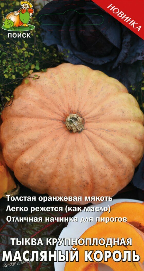Тыква крупноплодная Масляный король, 10шт. (10 шт.), Агрофирма Поиск, Россия