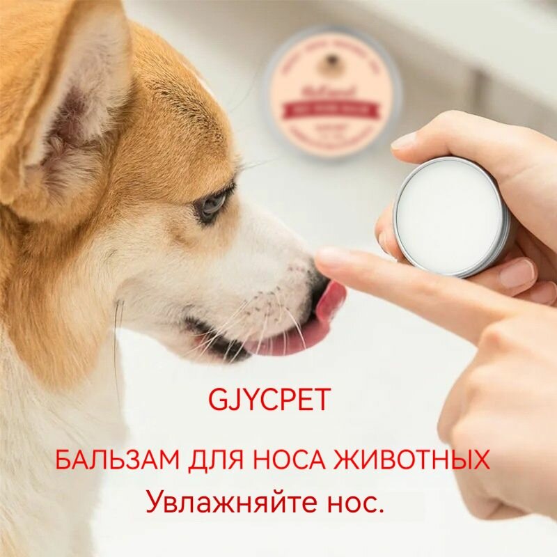 Крем для носа Pet Dog Nasal Cream увлажняет нос и предотвращает сухость, пересыхание и растрескивание, универсален собак и кошек.