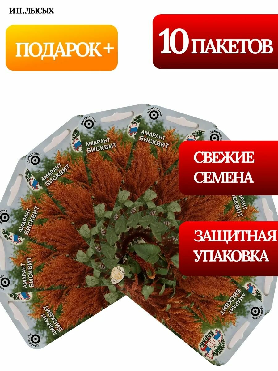 Семена Амарант "Бисквит"