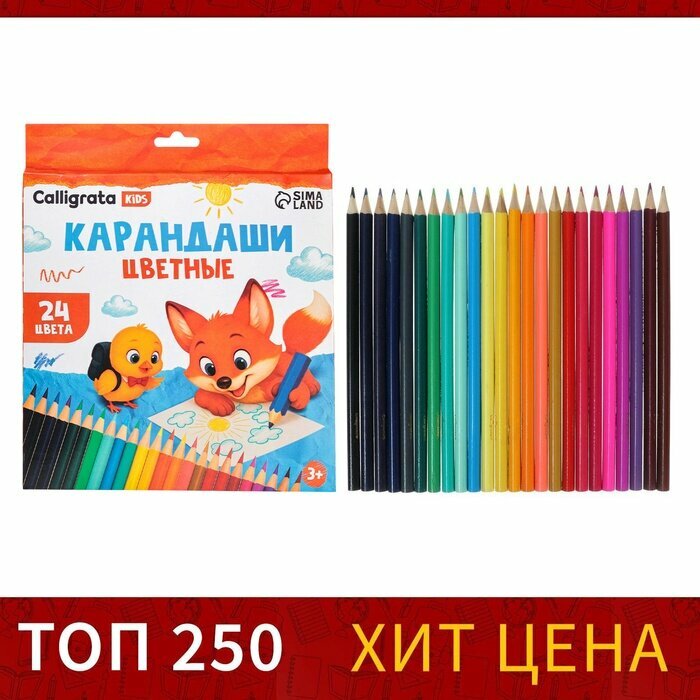 Карандаши Calligrata, цветные, 24 цвета, деревянные, трёхгранные, микс