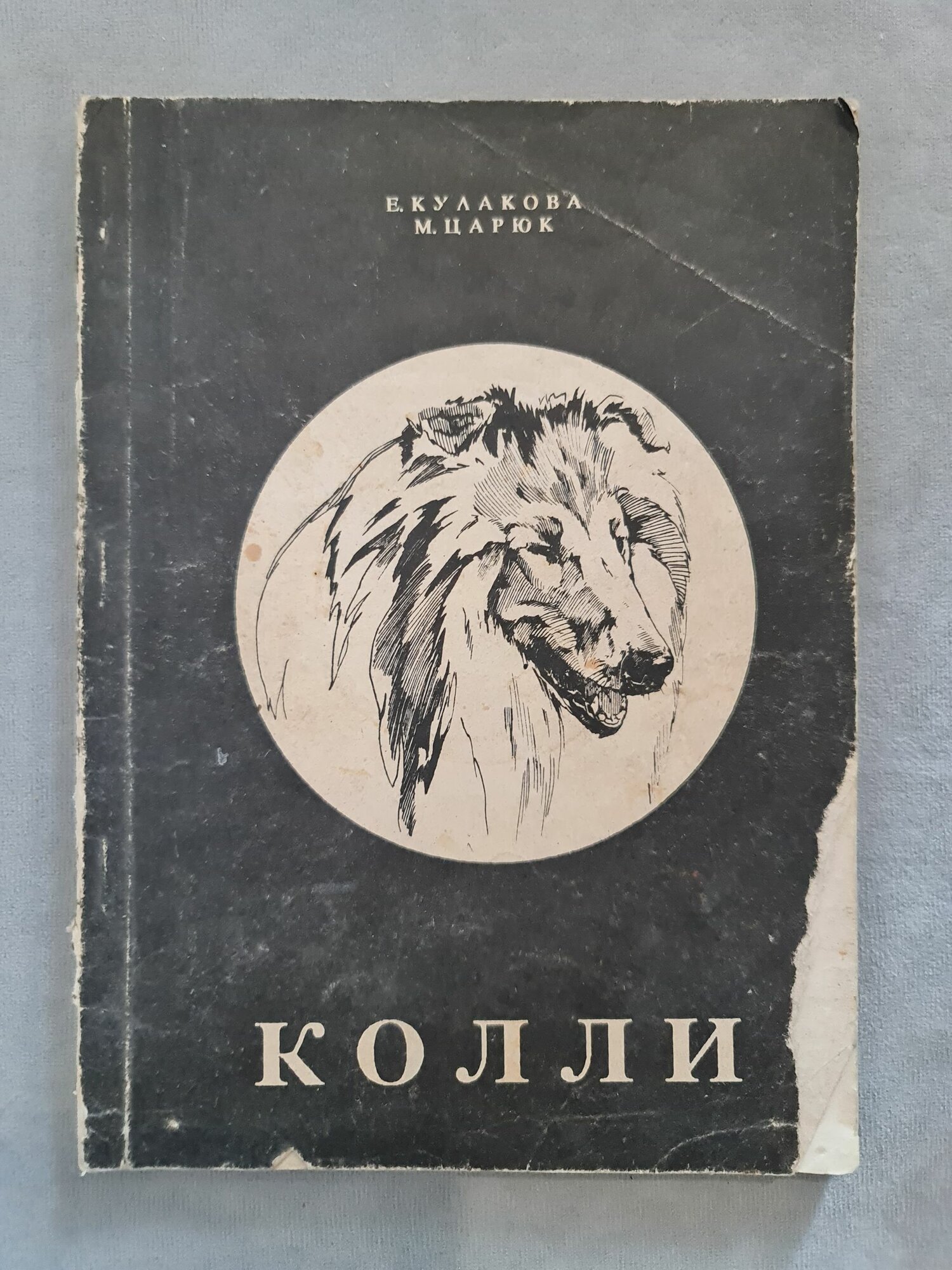 Кулакова Е, Царюк М.- Колли, кинология, книга, 1991