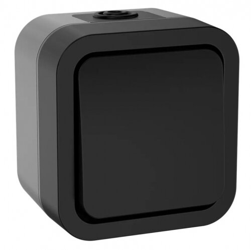 Выключатель Iek 1-кл. ОП TORS 2п 10А IP55 TS111 графит, TS-V16-0-10-55-K53