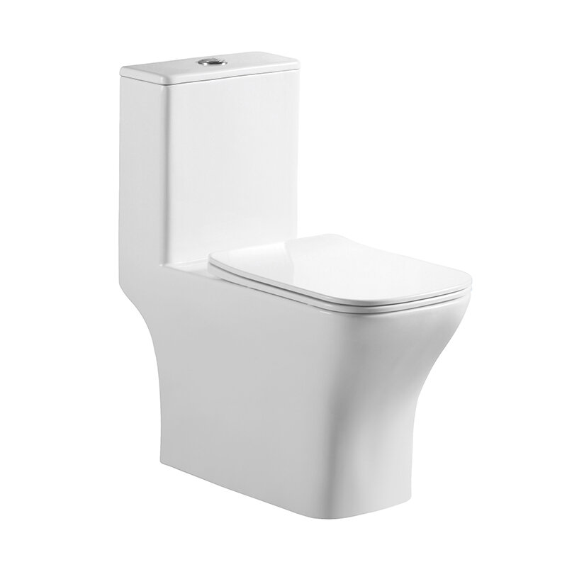 Унитаз компакт BelBagno Neon BB8617CPR-MN/SC