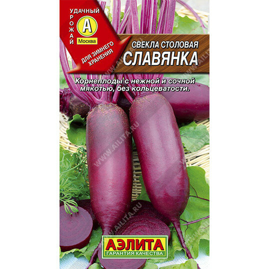 Семена свеклы Аэлита "Славянка", среднеспелые, 3 г, устойчивы к церкоспорозу