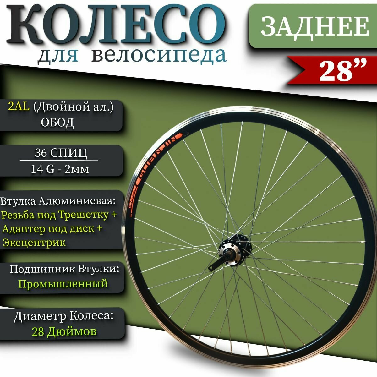 28-29' Колесо для велосипеда заднее 36 спиц 14G-2 мм. Двойной алюминиевый обод, втулка алюминиевая на пром. подшипниках с резьбой под трещетку, адаптером под диск + эксцентрик