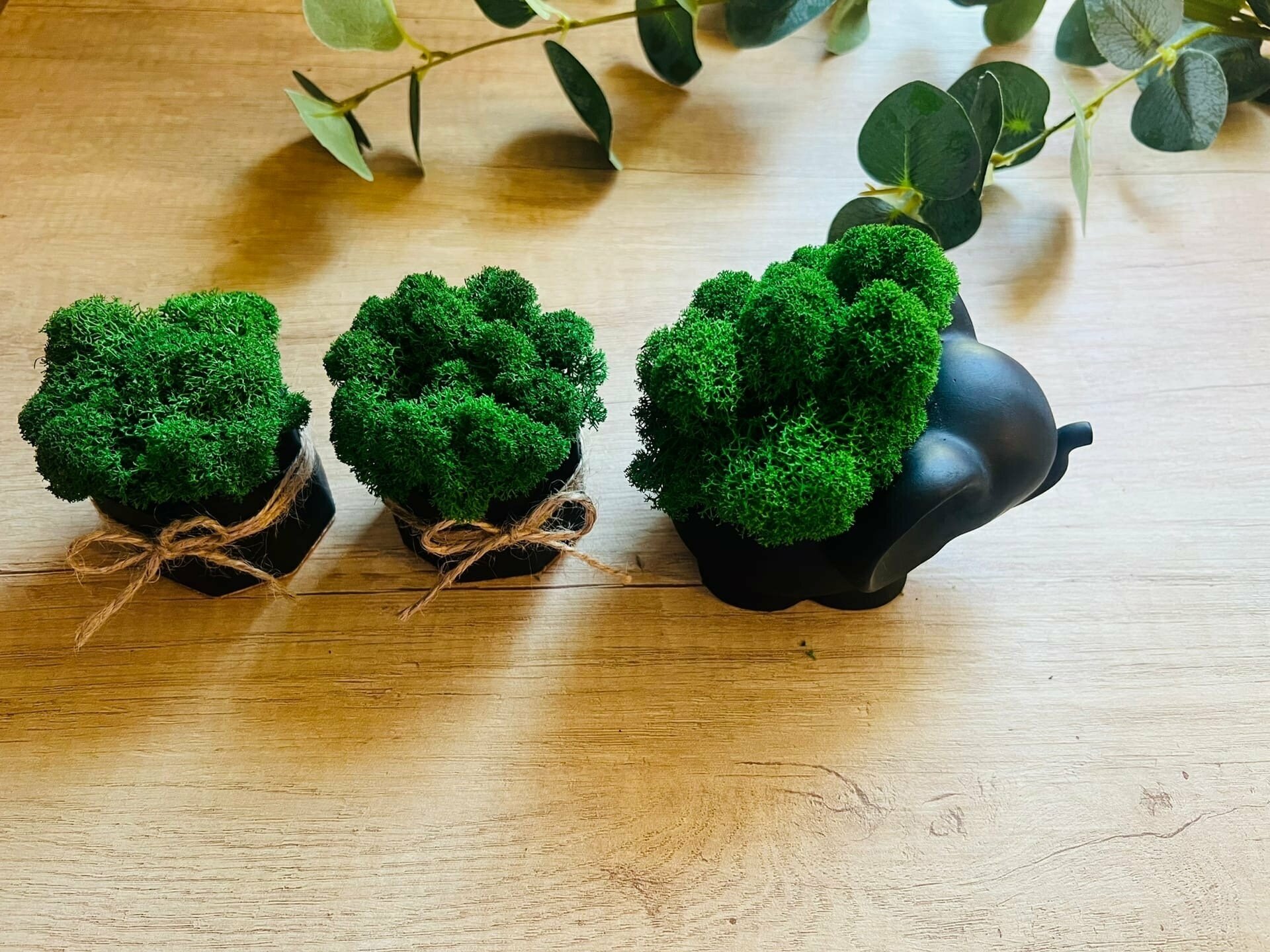 Кашпо со стабилизированным мхом/Набор из 3 кашпо/стабилизированный мох/Слон черное матовое кашпо/интерьерное кашпо/стабилизированный мох/для декора и интерьера/