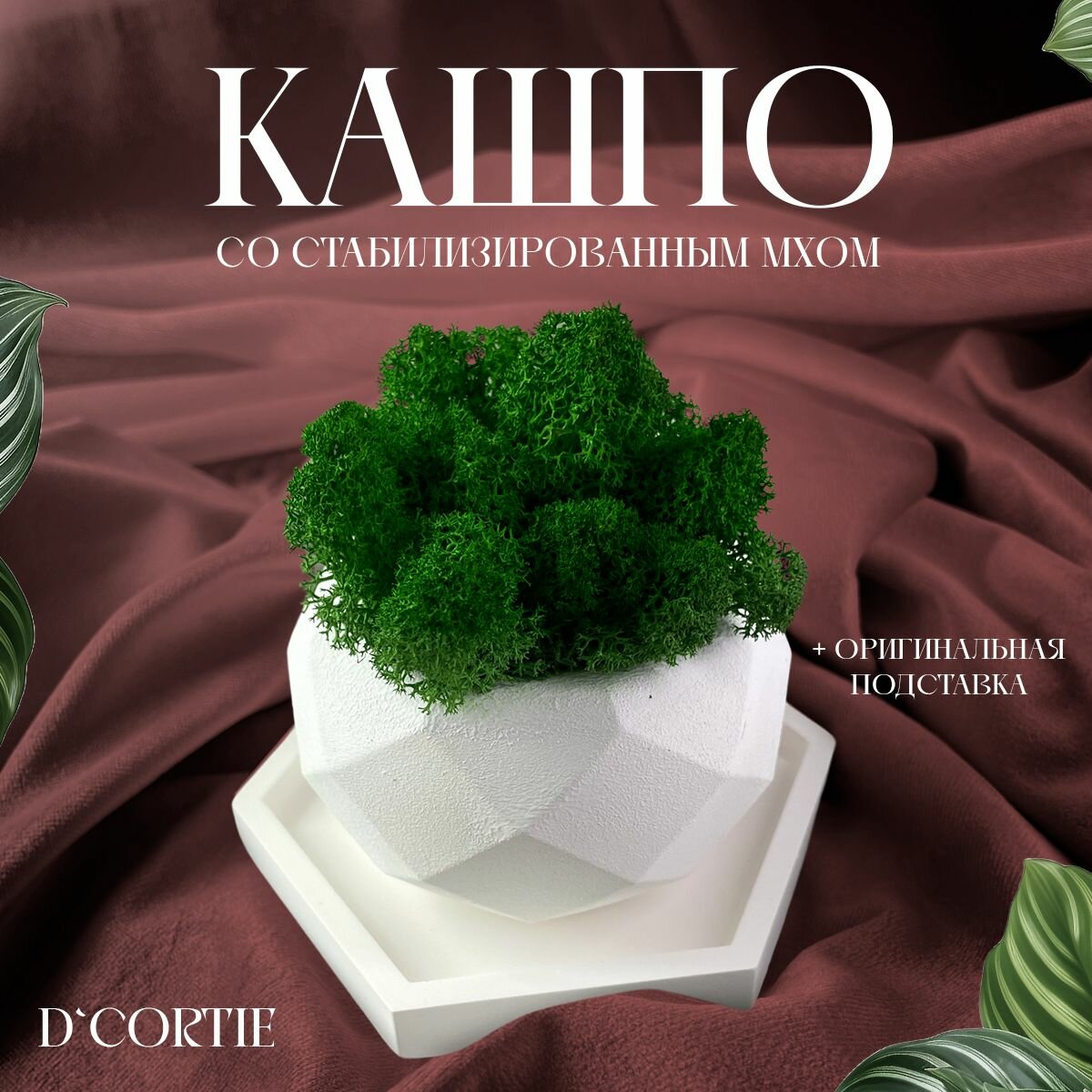 Кашпо со мхом, стабилизированный мох, мох в кашпо, сухоцветы