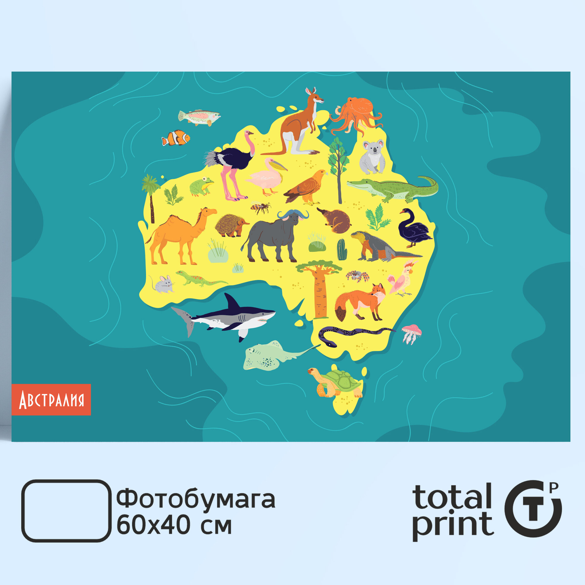 Постер на стену Карта животного мира, Австралия, 60х40см, TotalPrint