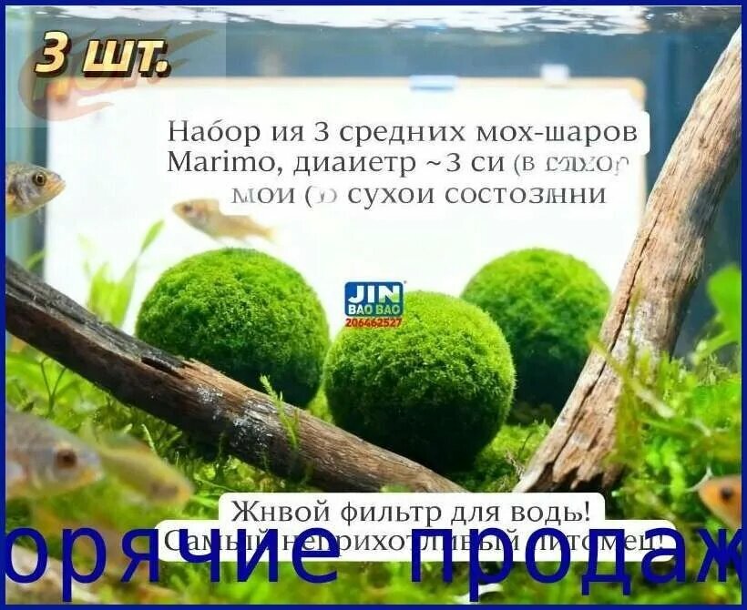 Мох-шар Marimo средний (3 шт.)