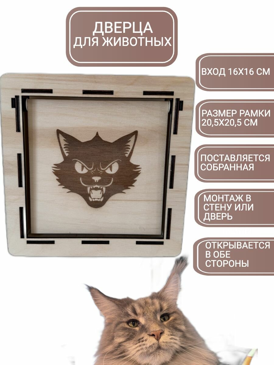 Дверца для кошек и собак, котоход, дверь лаз для животных, , 16х16 см