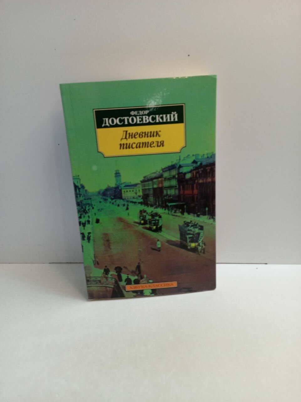 Дневник писателя