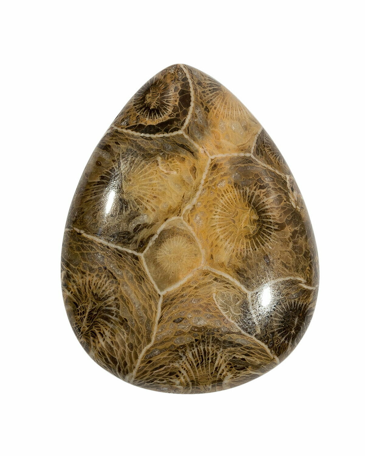 Кабошон из коралла, размер 44х35х5 мм, вес 18 грамм