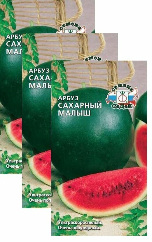 Набор. Семена Арбуз Сахарный малыш 1 г (СеДеК) , 3 пакетика * 1 г