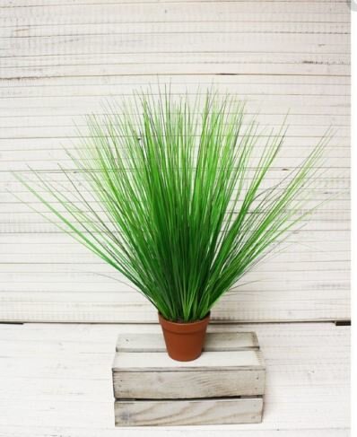 Осока горная в горшке ЦС45/169 d110 h450