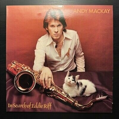 Виниловая пластинка Andy Mackay In Search Of Eddie Riff (Англия 1974г.)