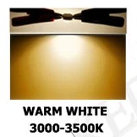 10 шт. светодиодные чипы Warm White 1919 20W 300mA