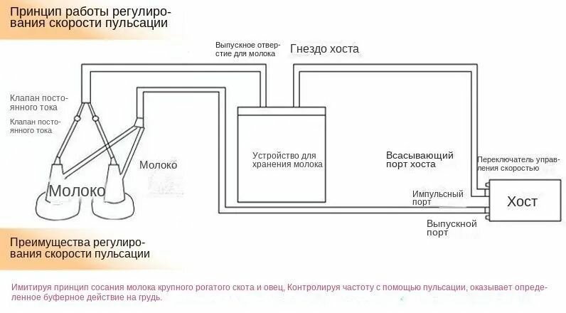 Доильный аппарат — фото 1
