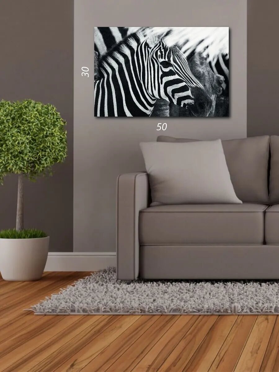 Картина "Зебра", 50 см x 30 см, холст, на подрамнике, цифровая печать