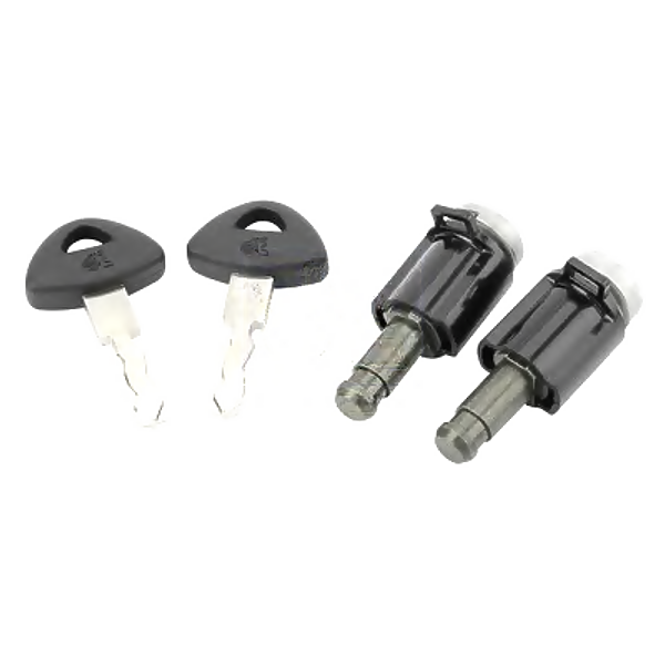 DT 1.31921 (131921_DT / 581025S) к-т сердцевин дверного замка 2шт. с ключами\scania p / r-series cp / cg / cr / ct