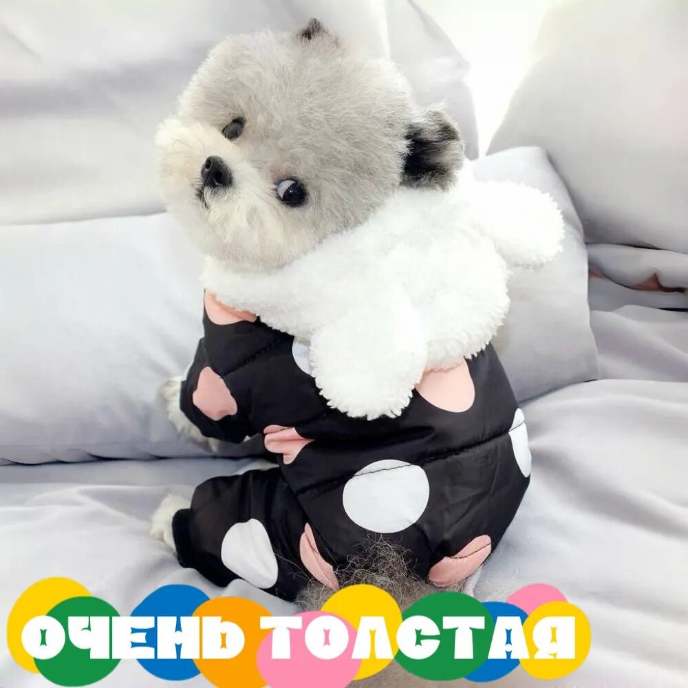Ledouxy Зимняя одежда для собак-теплая одежда в горошек с меховой подкладкой длина спины 25 см S 1 шт