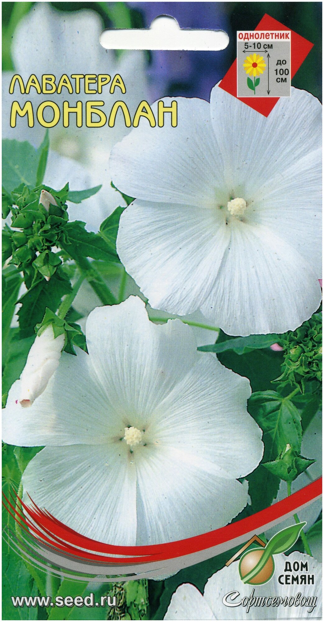 Лаватера Монблан, 45 семян