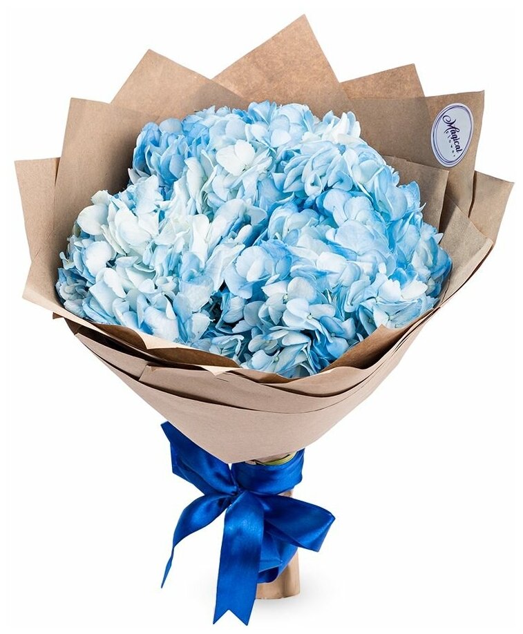 Букет Magic Flower, гортензии голубые, высота 50 см, 3 цветка