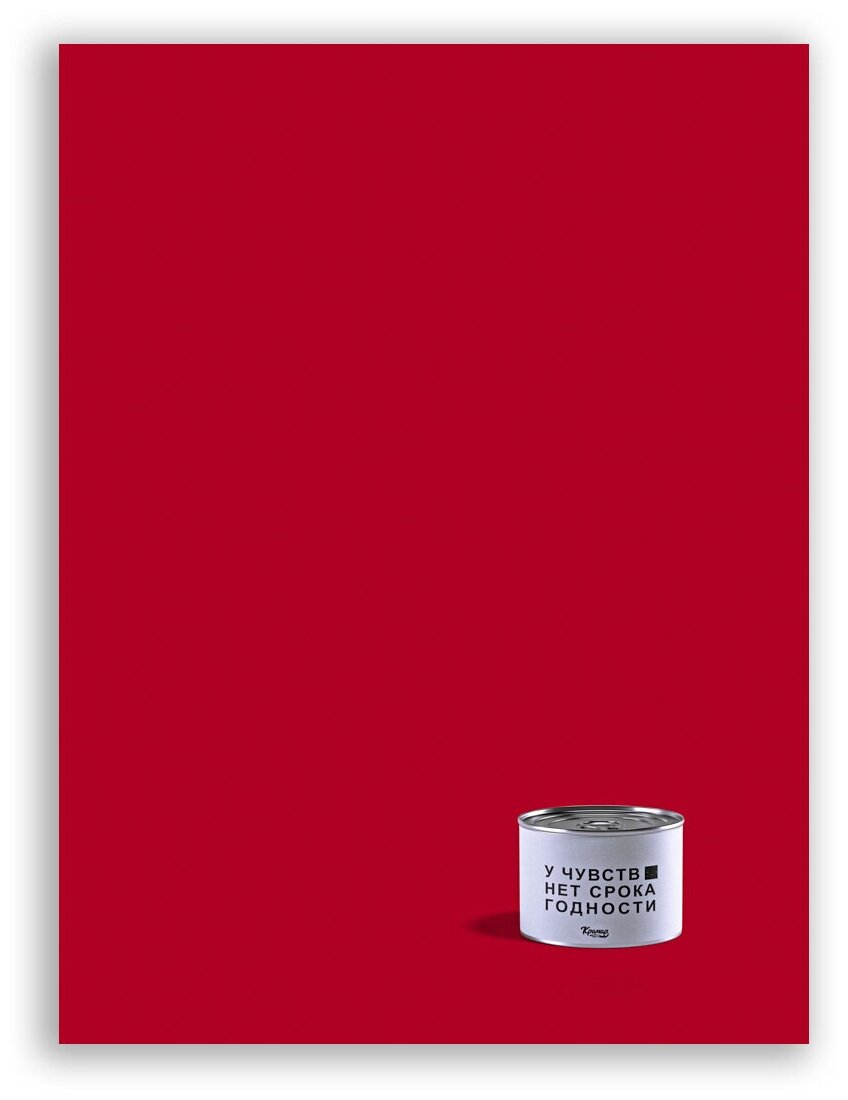 Мотивационный плакат на бумаге / У чувств нет срока годности / Саша Крамар