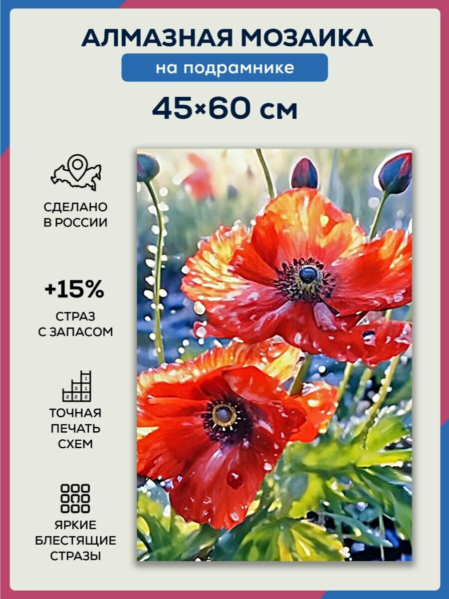 Алмазная мозаика 45x60 Мак расцвёл на подрамнике