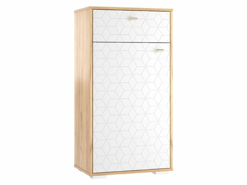 Комод для обуви "Монс 2" 54х103х35 Дуб крафт золотой / Лотос