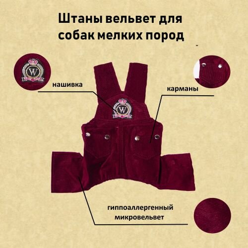 Штаны-джинсы вельвет для собак мелких пород, нашивка W, размер S, цвет бордовый