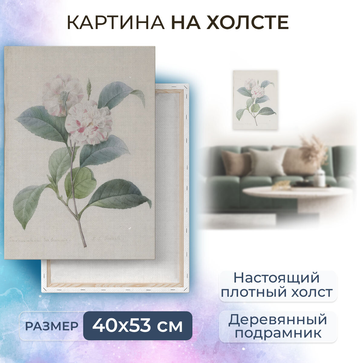 Картина на холсте с подрамником / Pierr - Joseph Redoute / Пьер-Жозеф Редуте