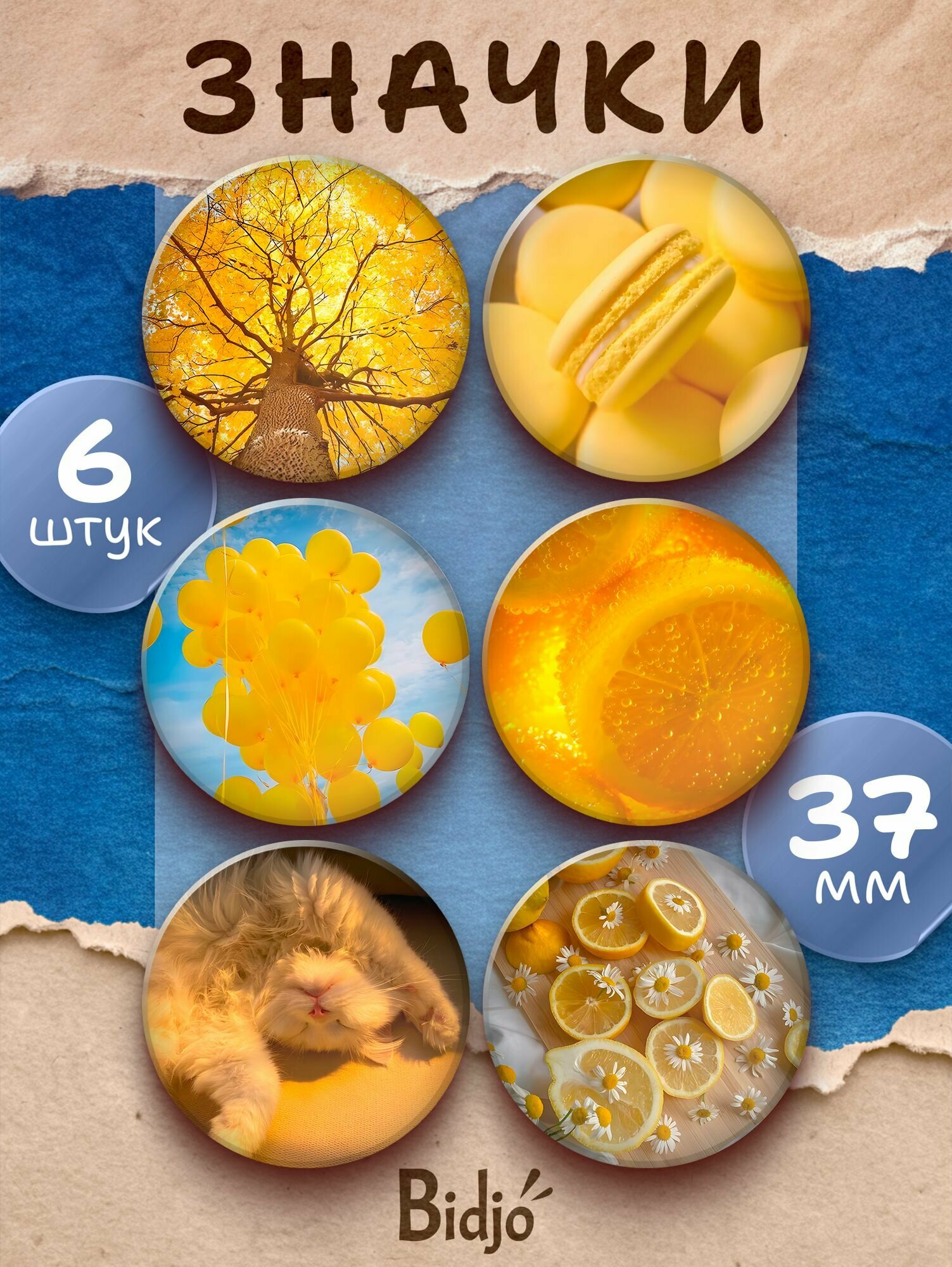 Набор значков Bidjo