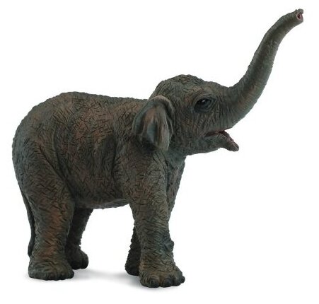 Фигурка Collecta Азиатский слоненок, S 88487b