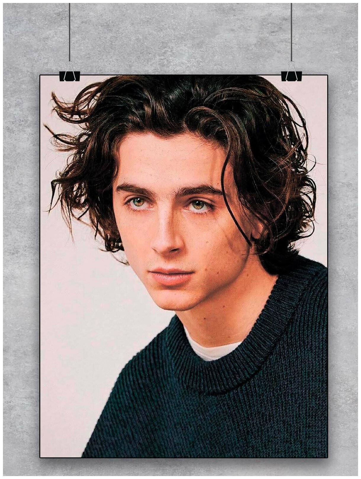 Тимоти Шаламе Timothee Chalamet - постер на фотобумаге 60х80 см