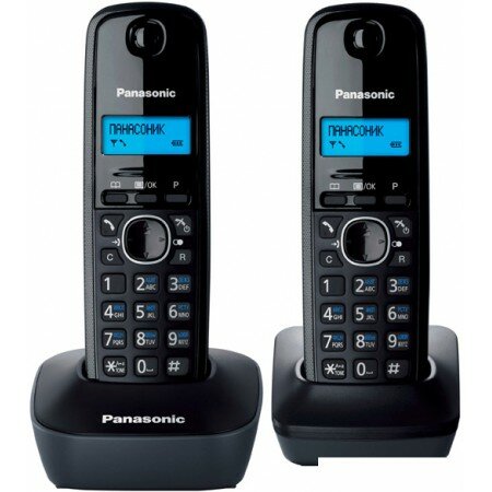 Радиотелефон Panasonic KX-TG1612RUH