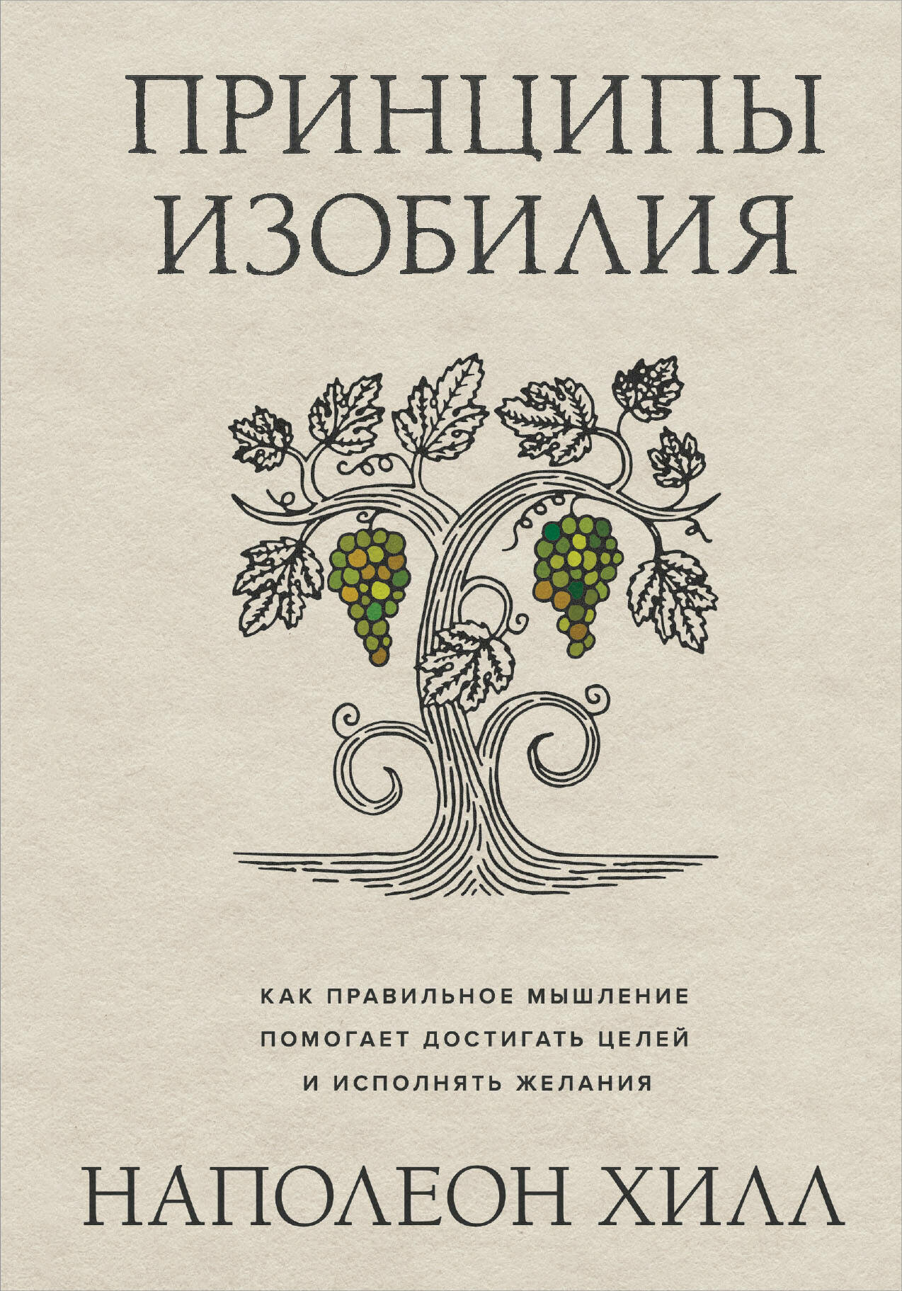 Принципы изобилия Как правильное мышление помогает достигать целей и исполнять