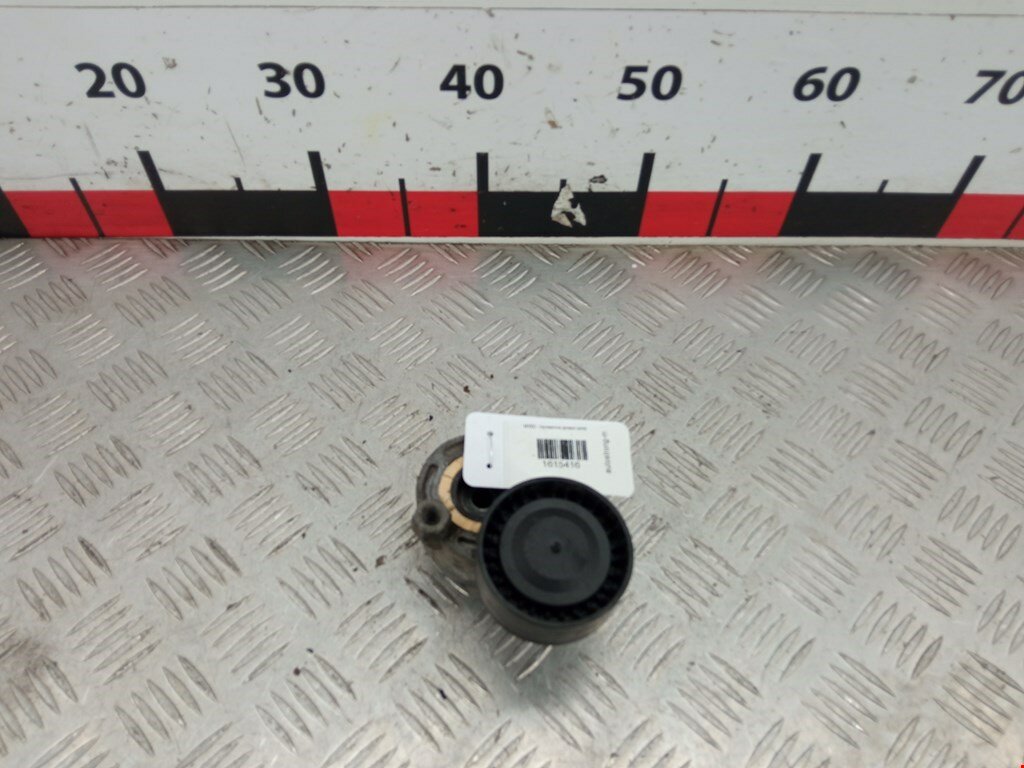 Натяжитель ремня генератора (приводного поликлинового ремня Renault Megane 2 117501113R арт. 1615416