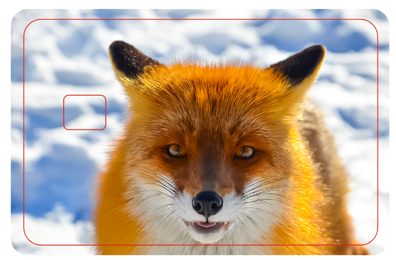 Наклейка на банковскую карту, стикер на карту, лиса