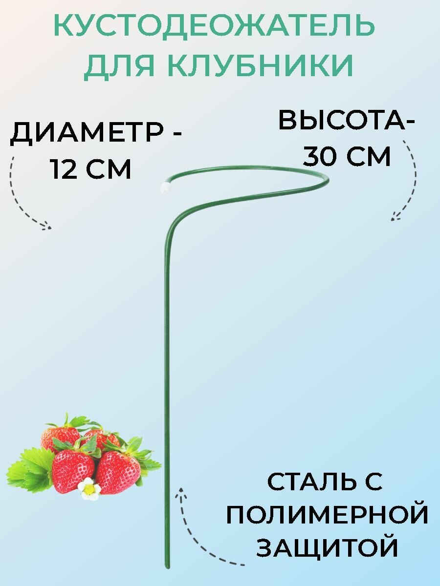 Опора- кустодержатель для клубники, высота 30 см, металл, цветы и ягоды клубники и земляники будут защищены от соприкосновения с почвой, что повысит болезнеустойчивость культуры, облегчит полив