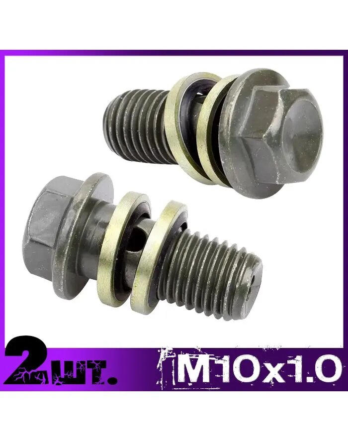 Болт фитинга тормозной системы 2шт./М10х1.0+4 шайбы