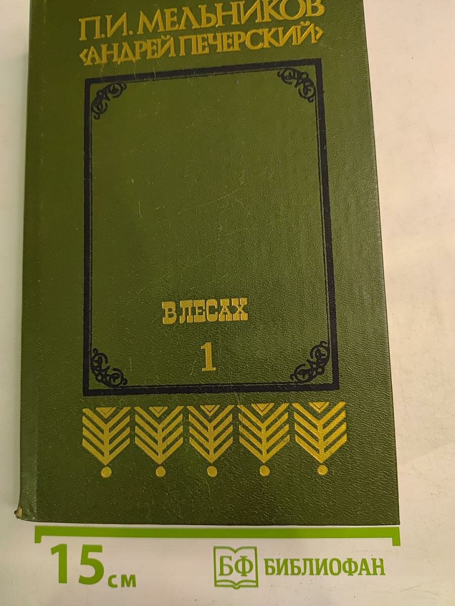 В Лесах. Книга первая