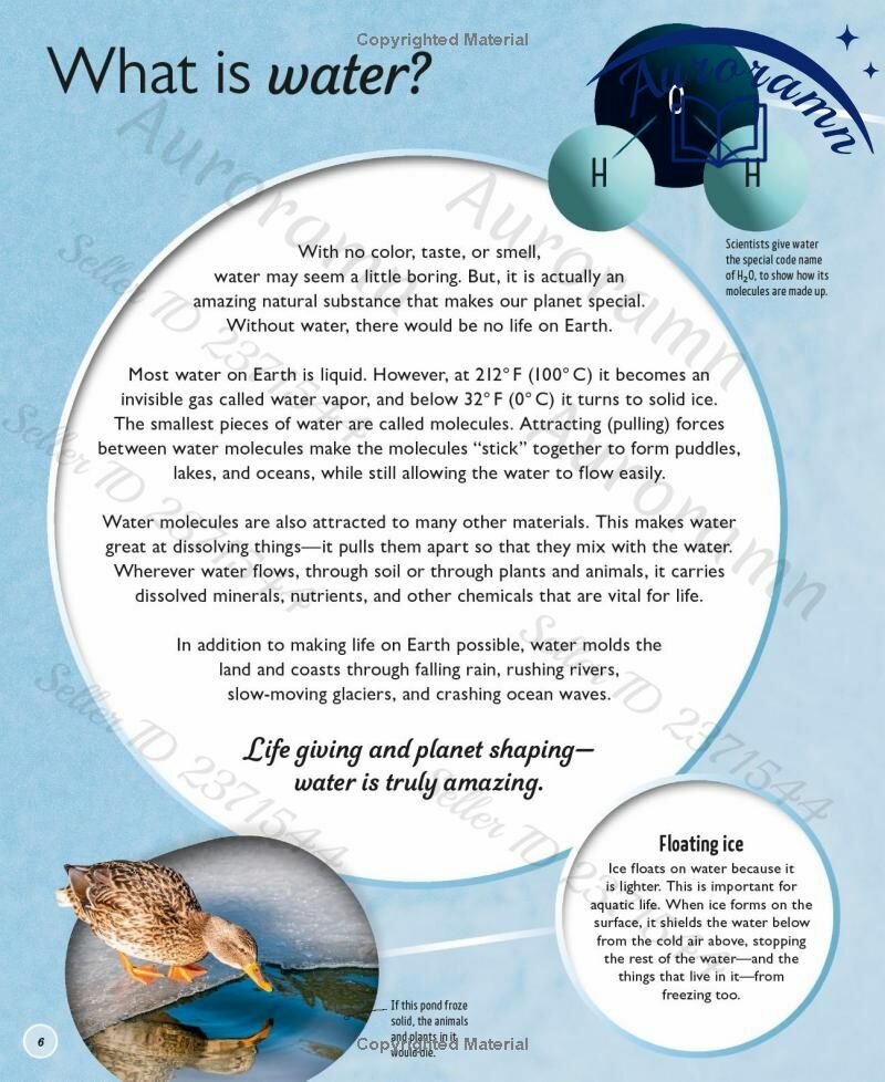 Water Cycles (DK Life Cycles) Hardcover – August 17, 2021 by DK (Author) — фото 1