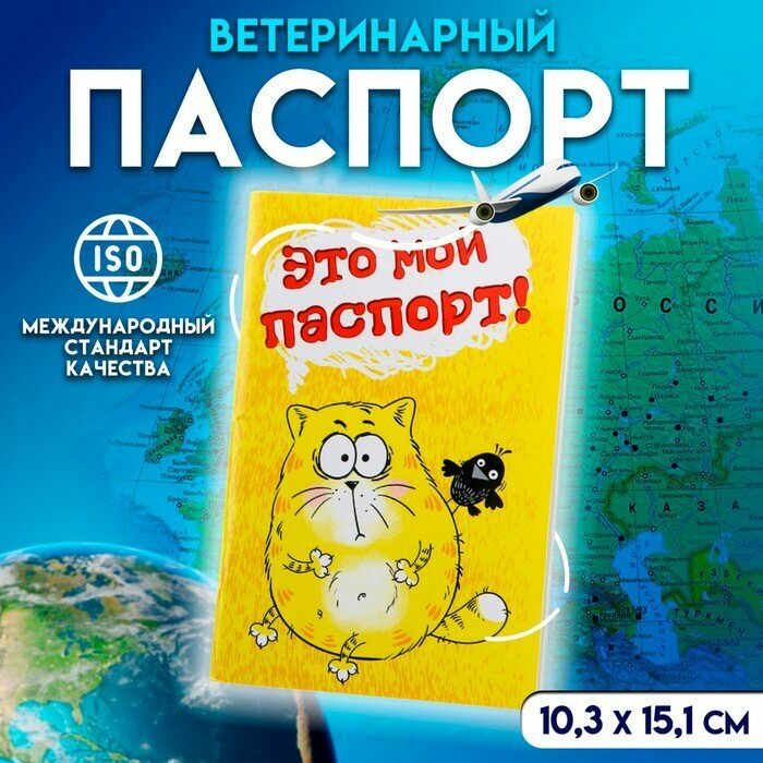 Ветеринарный паспорт международный для кошек, 28 страниц, 2 шт.