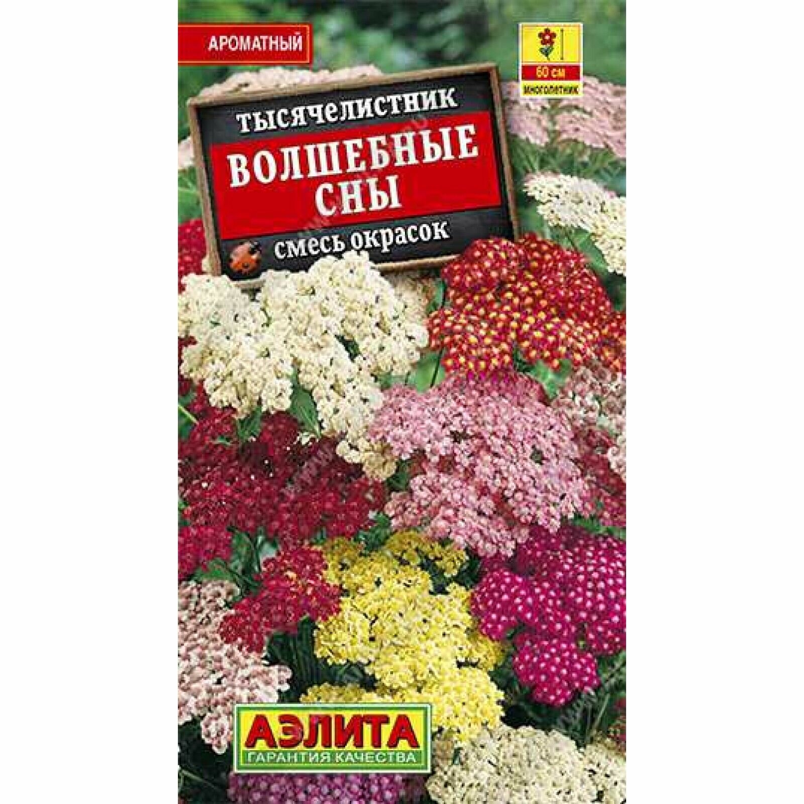Тысячелистник Волшебные сны, смесь окрасок