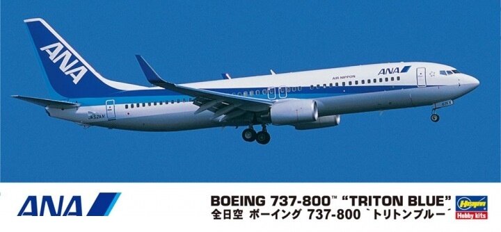 10737 Самолет ANA B737-800
