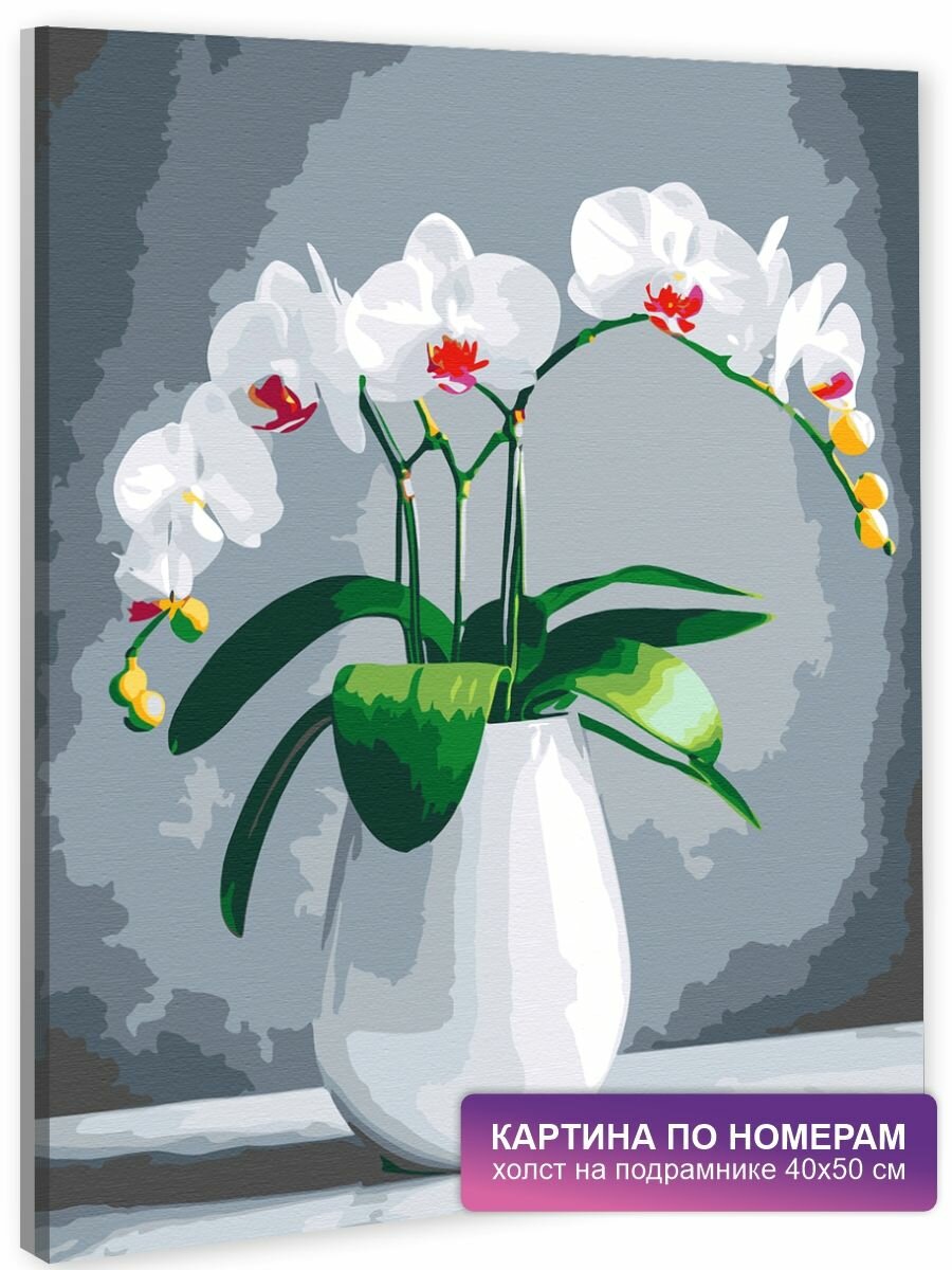 Картина по номерам на холсте с подрамником 40х50 см. Цветы, букеты. "Орхидеи", арт. 4913/