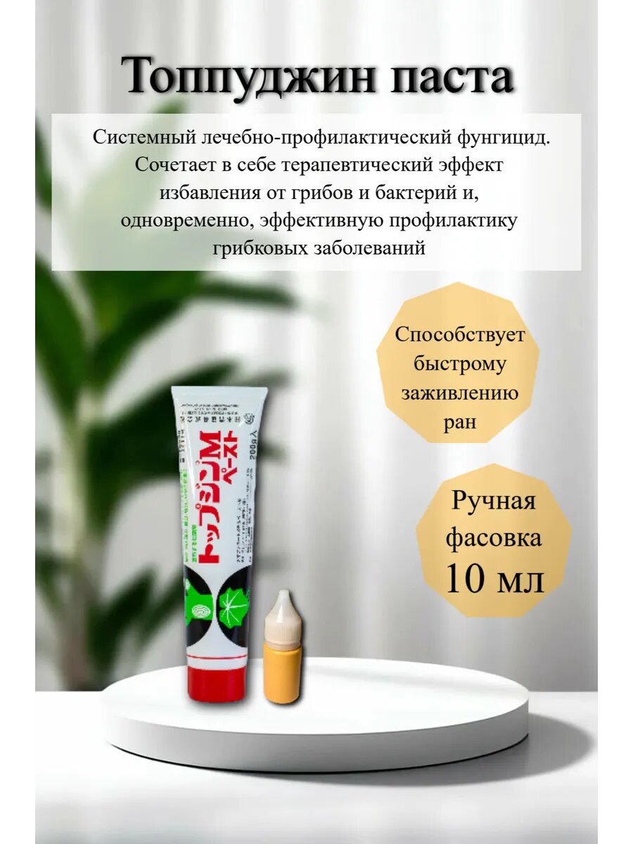 Топпуджин паста 10 мл (фасовка)