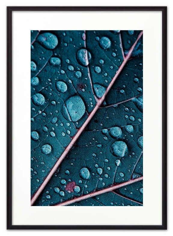 Постер в рамке Бирюзовый лист, 30х40 см