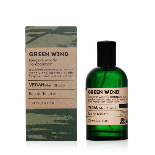 Туалетная вода Today Parfum Vegan Man GREEN WIND 100ml (аромат 1212 Blanc) для мужчин