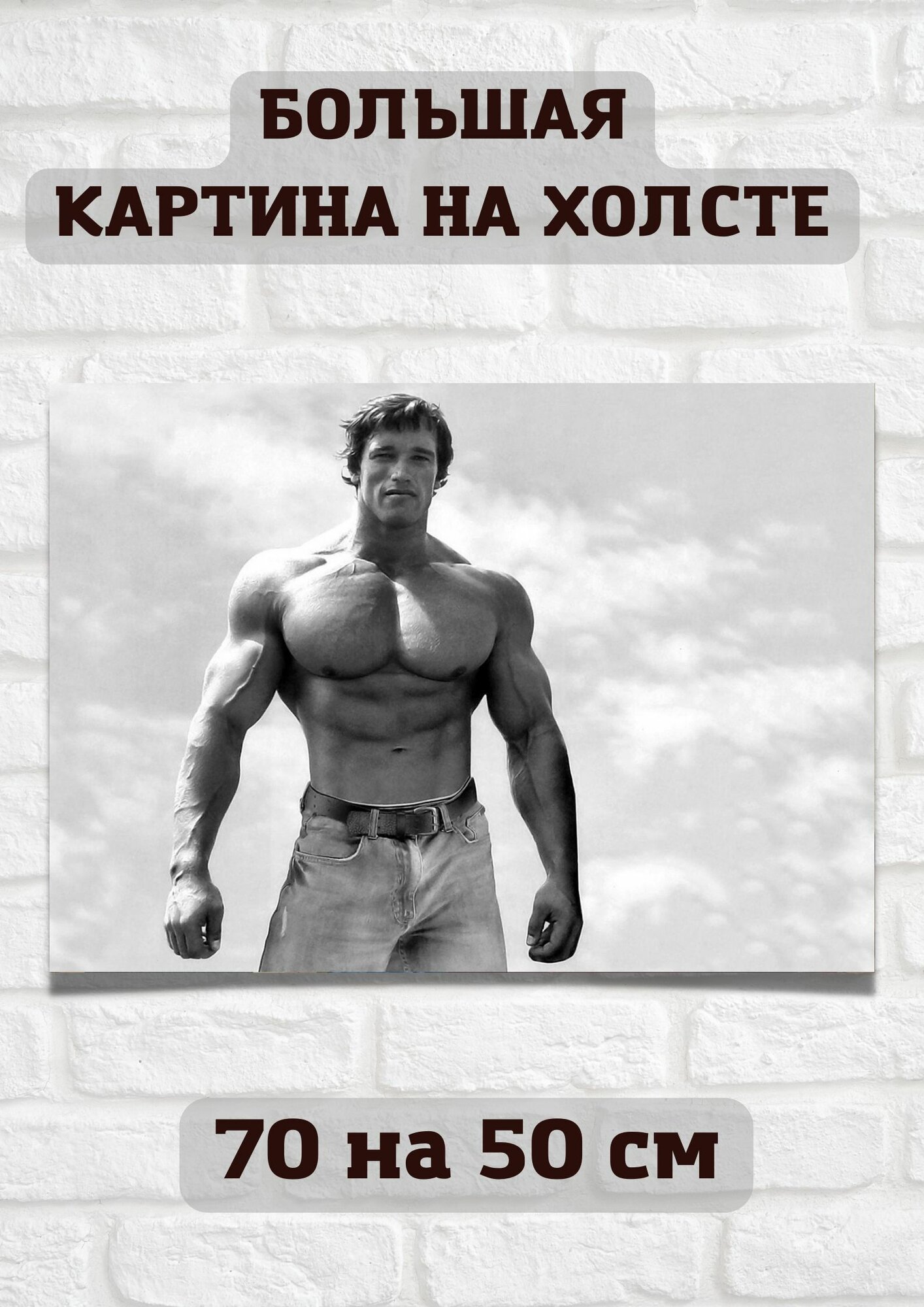 Картина на холсте интерьерная "Арнольд Шварценеггер"